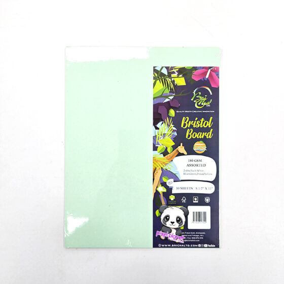 Bristol Board Assorted 10 sheets - Pixel Planet
